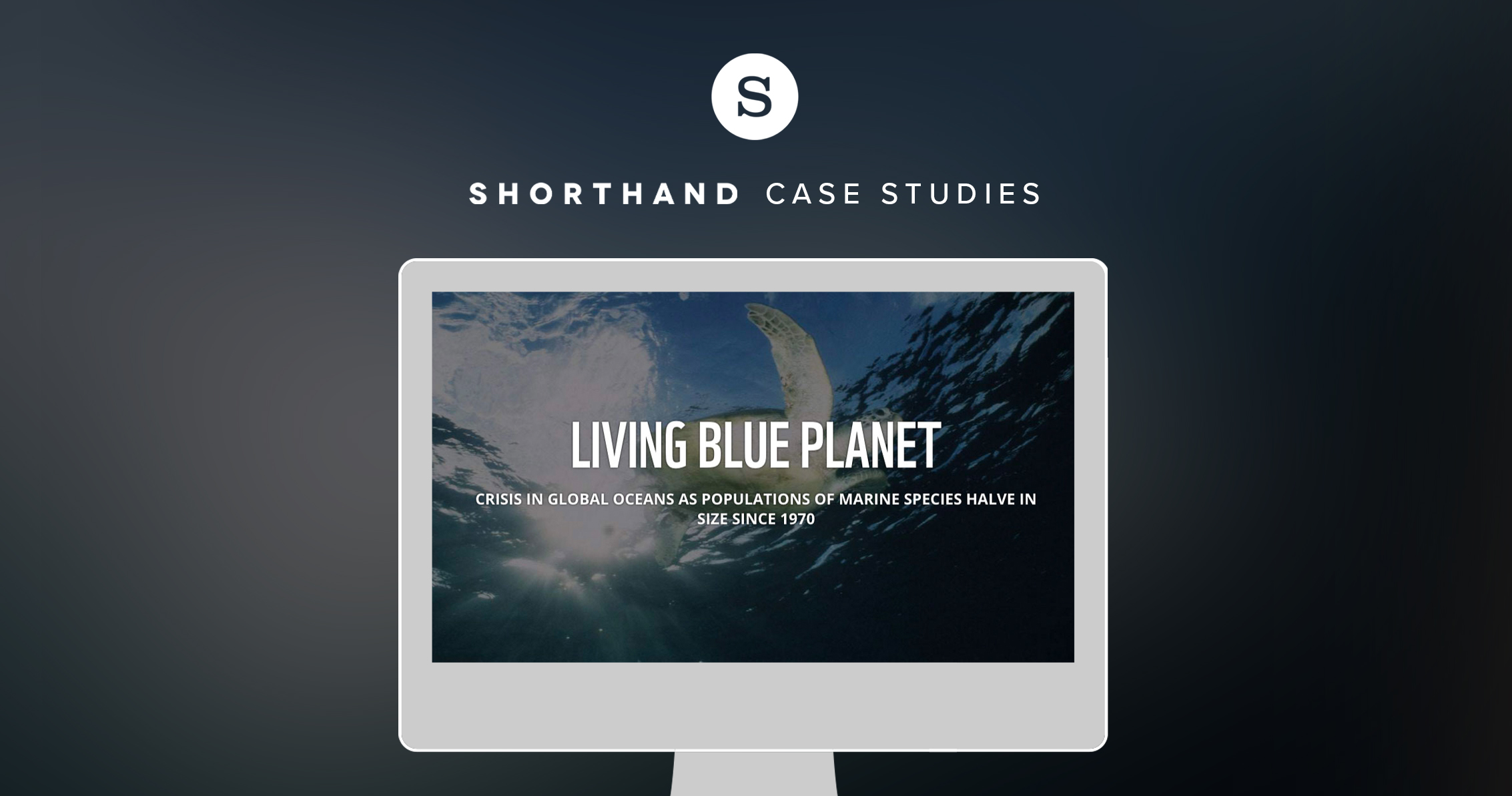 WWF Digital Stories | Shorthand Visual Storytelling Examples
