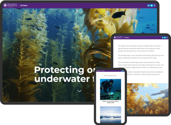 Delight your students with beautiful course notes, assignments, and ...
