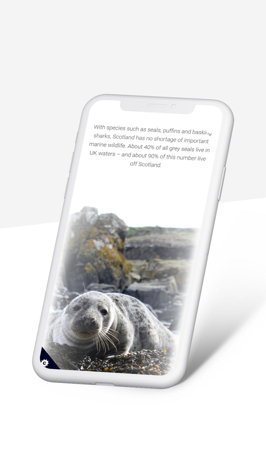 8 examples of immersive digital storytelling from government agencies