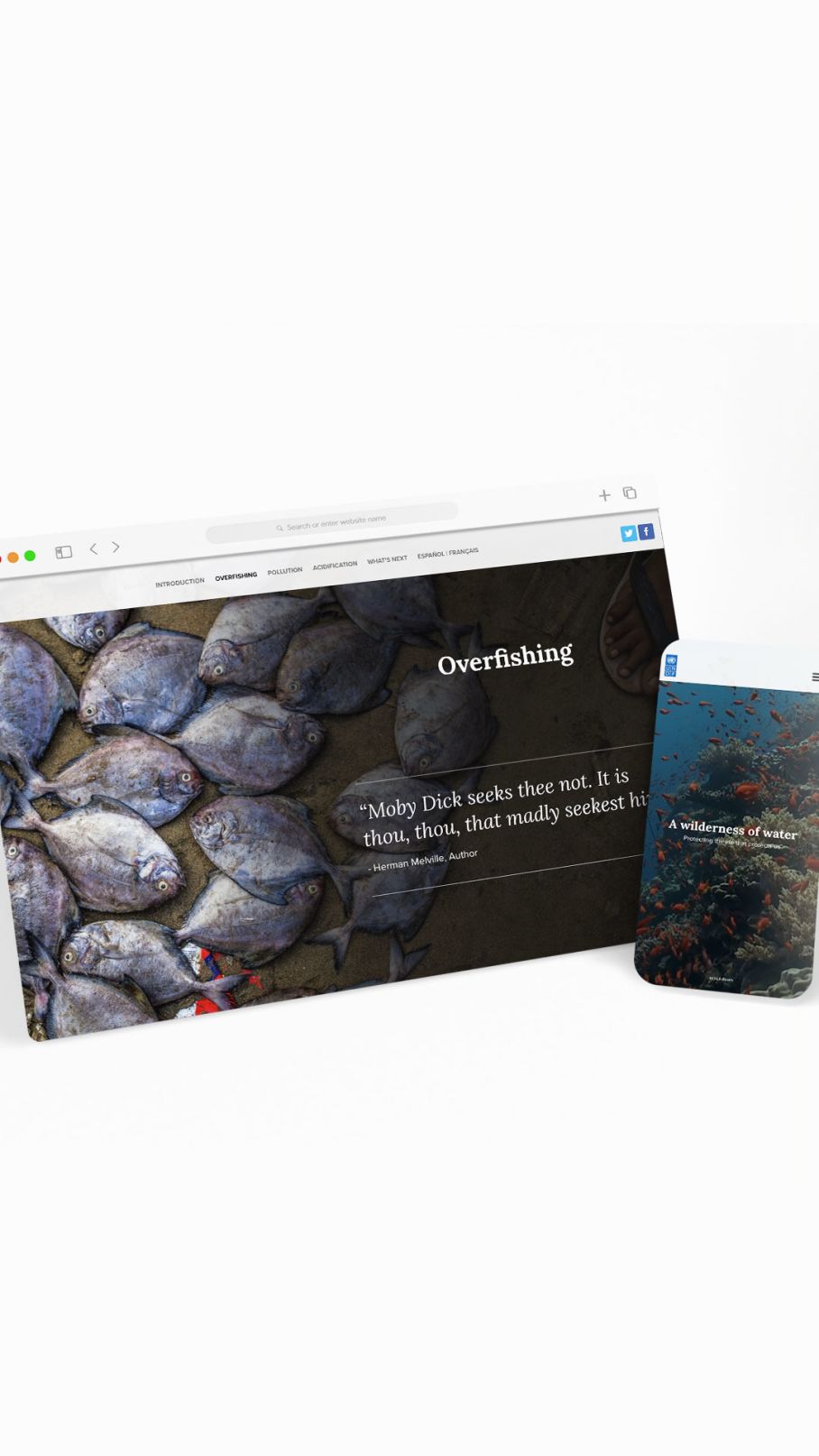 9 Memorable Examples of Environmental Journalism