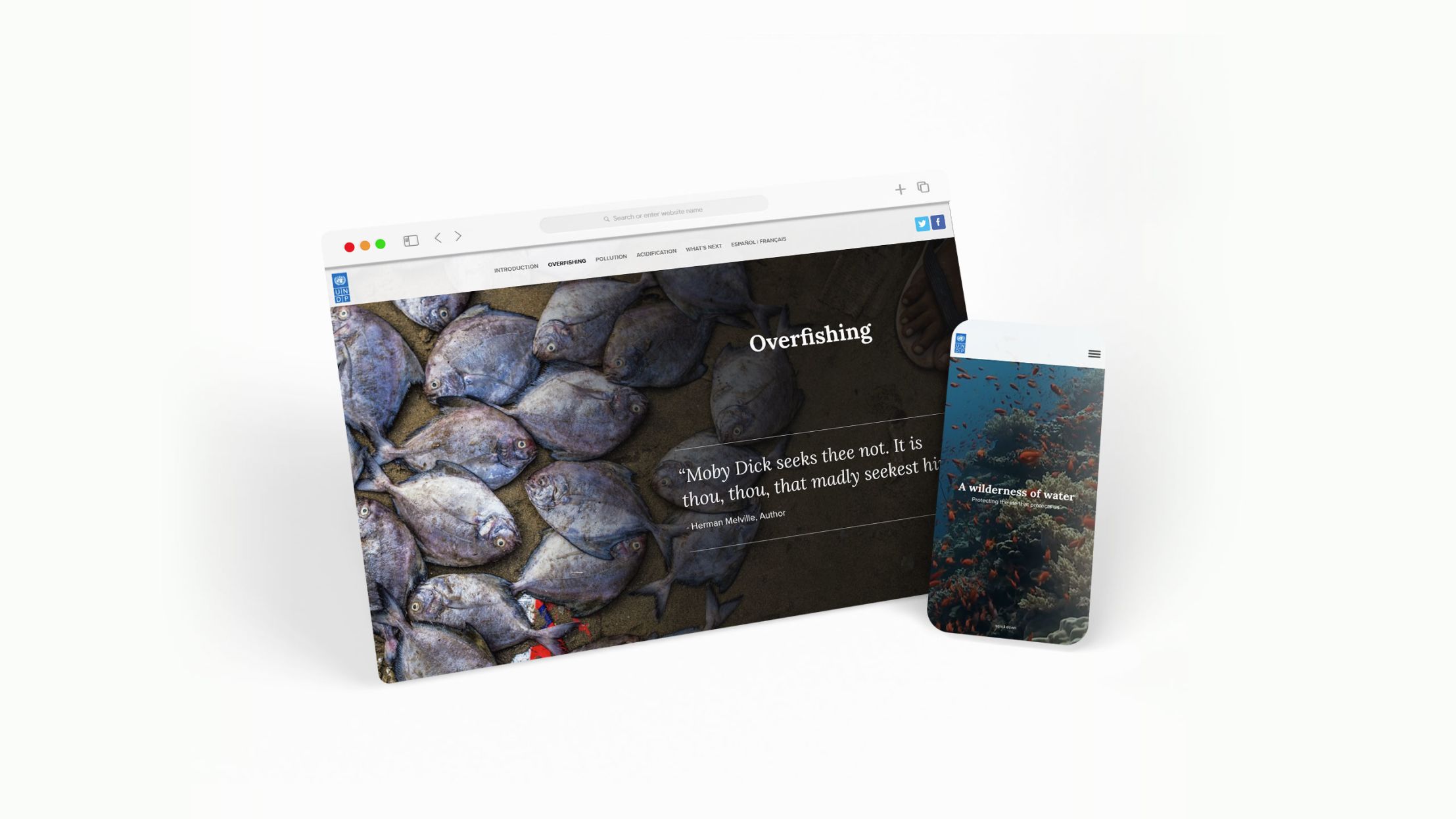 9 Memorable Examples of Environmental Journalism