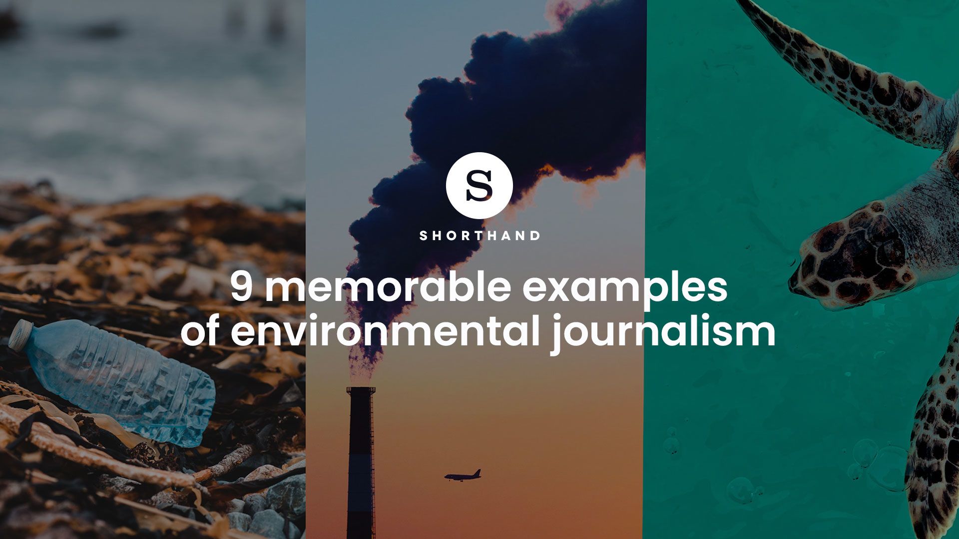 9 Memorable Examples of Environmental Journalism 9 Memorable Examples of Environmental Journalism
