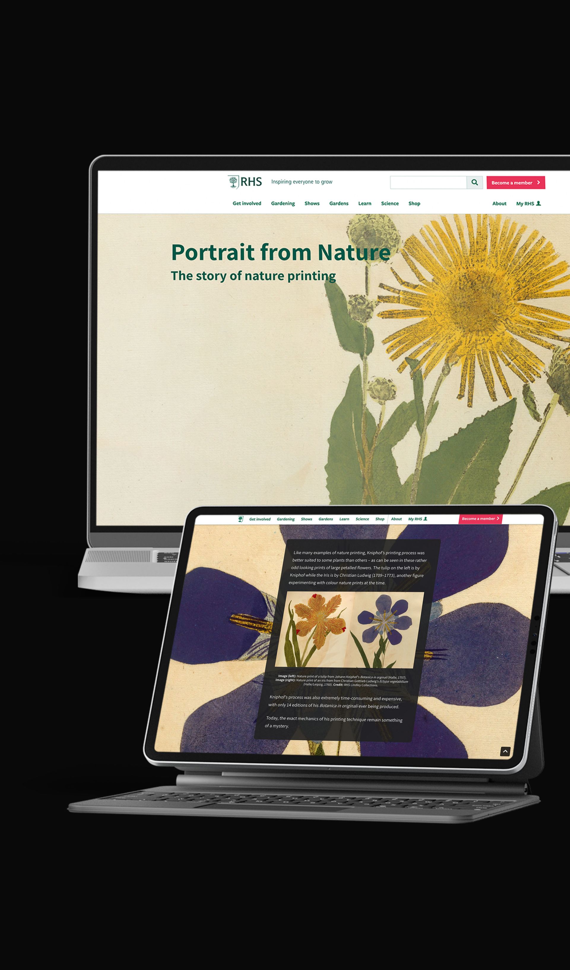 How cultural organisations reach new audiences with digital storytelling