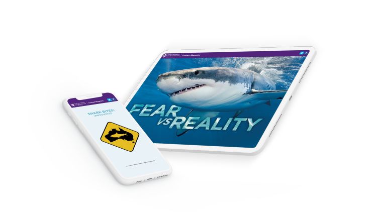 The definitive guide to digital magazines in 2023