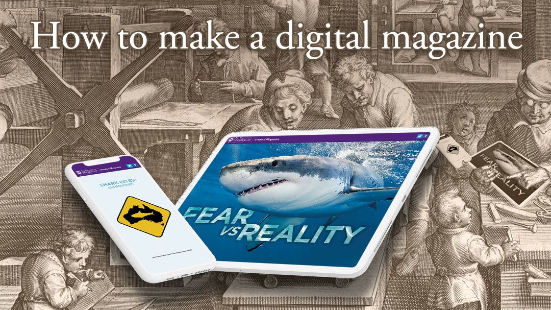 The definitive guide to making digital magazines