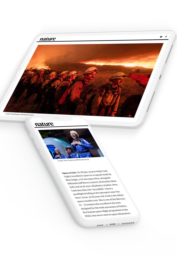 Ten examples of immersive photo essays