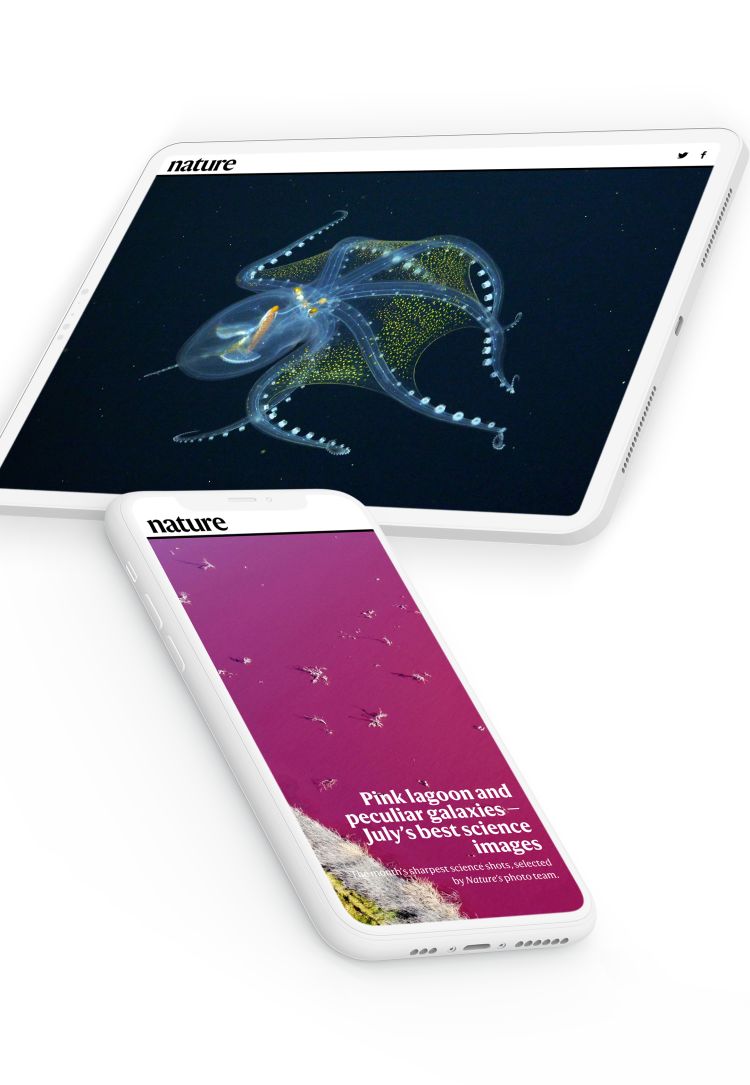 Ten examples of immersive photo essays