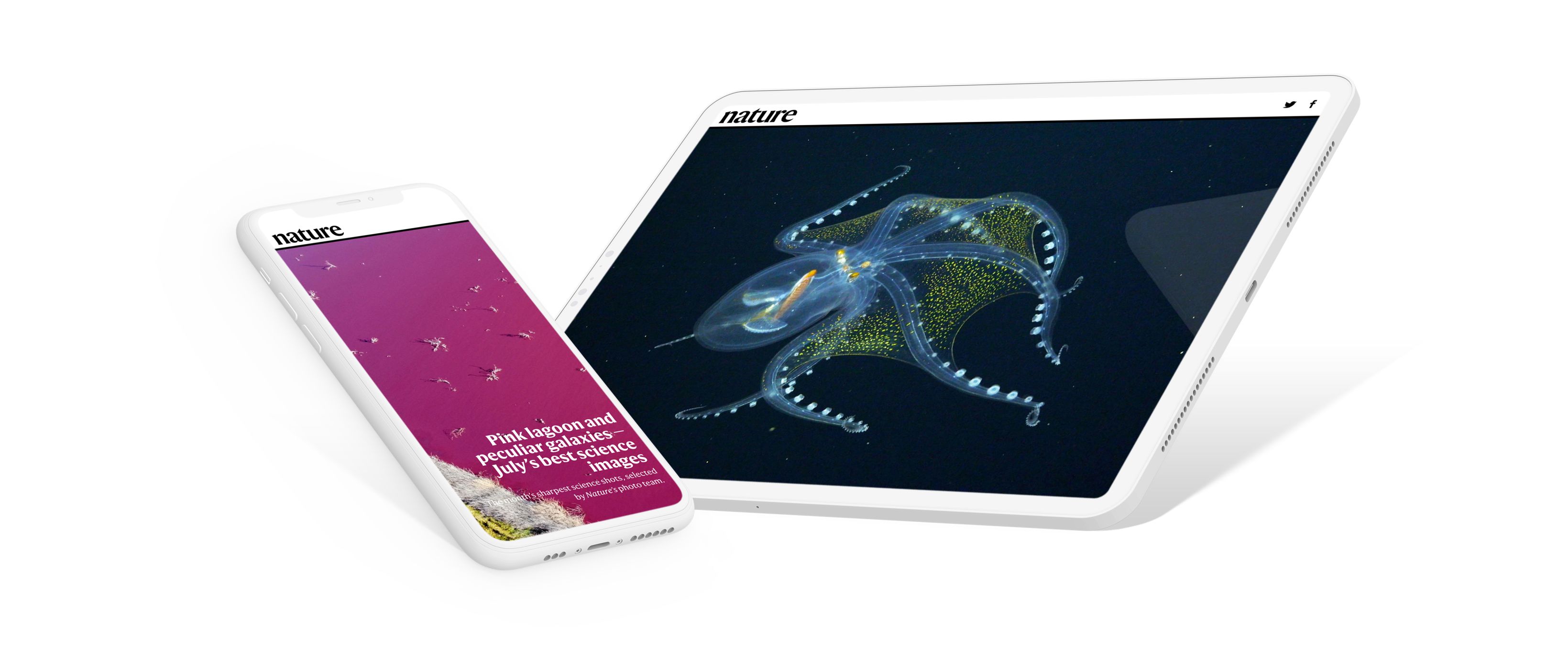 Ten examples of immersive photo essays