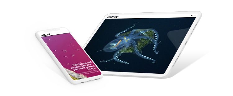 Ten examples of immersive photo essays