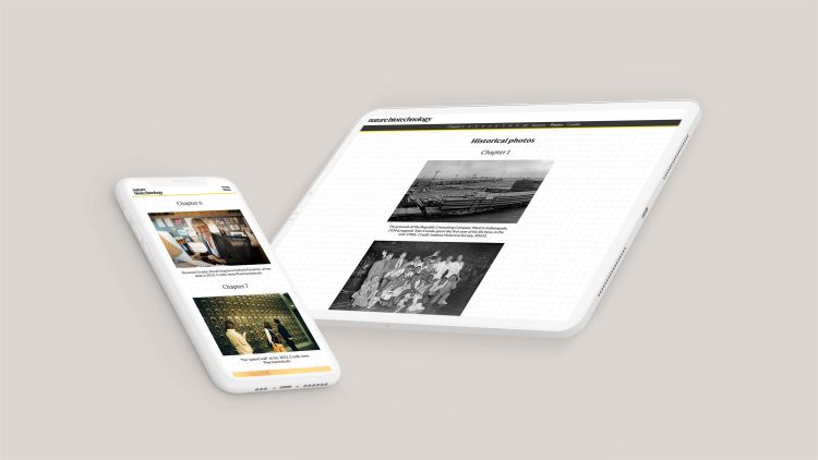 Ten examples of immersive interactive content