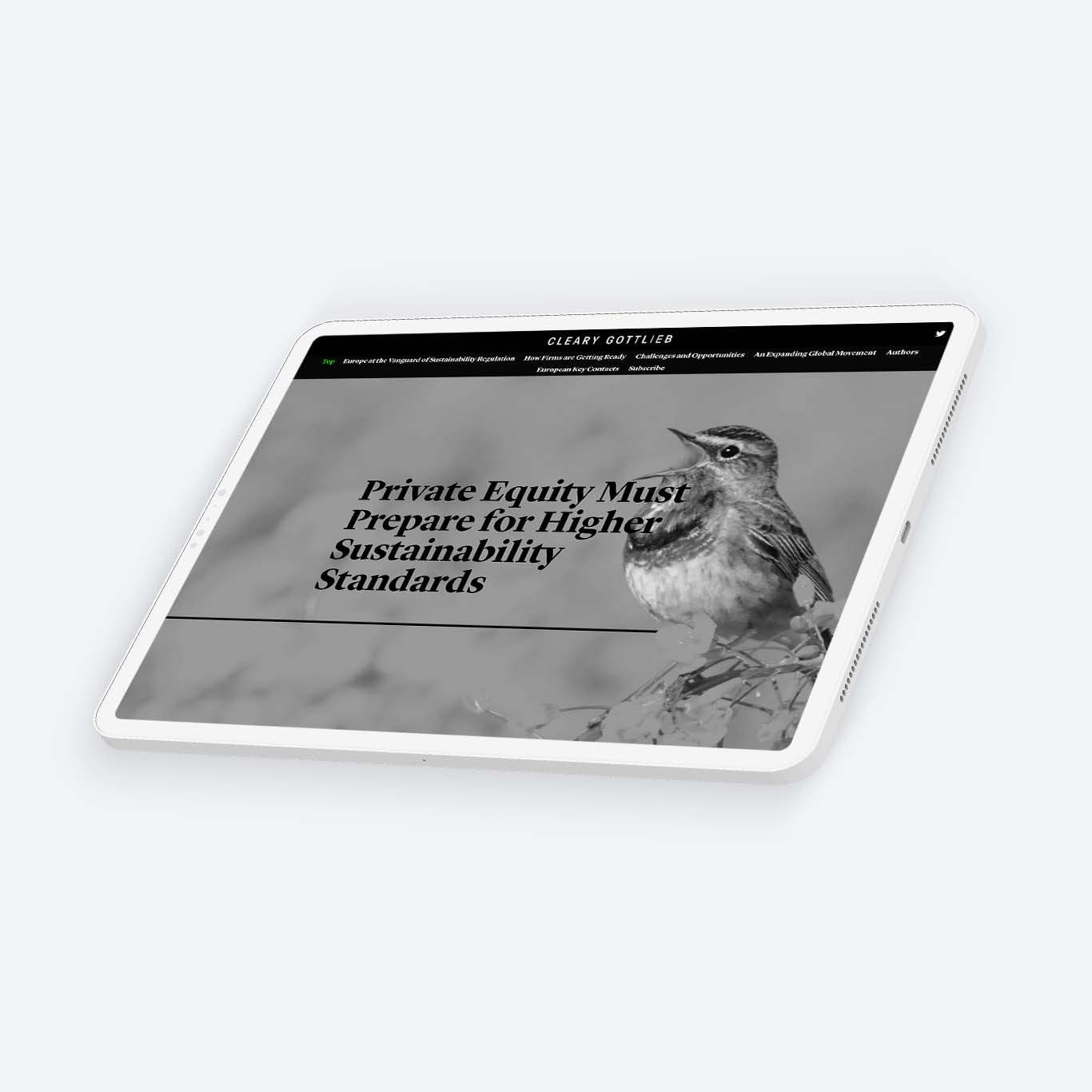 How to Write a White Paper